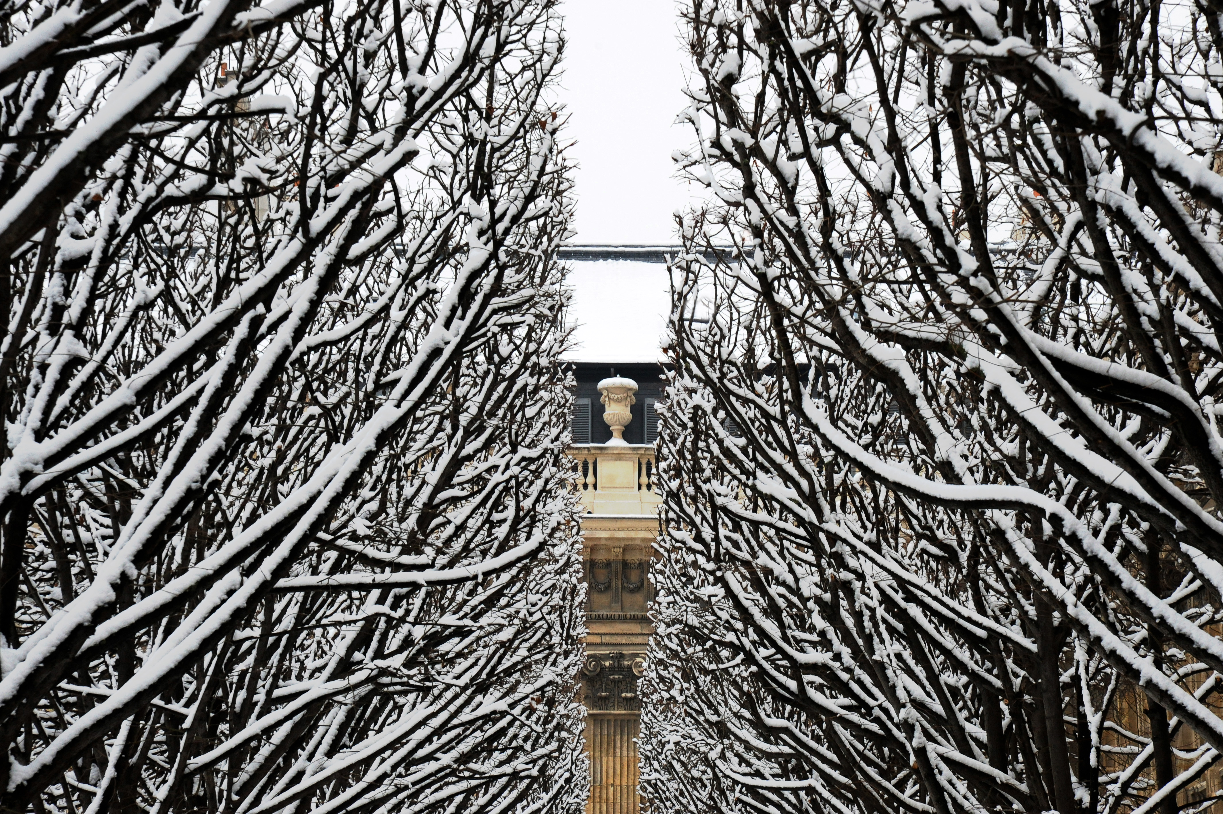 The Best Places to Create Photographs in Paris | Bonjour Paris
