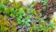 Photo Essay: The Grandfather Greenhouse Gardens of Paris | Bonjour Paris