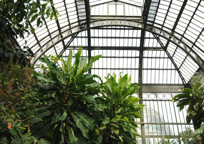 Photo Essay: The Grandfather Greenhouse Gardens of Paris | Bonjour Paris