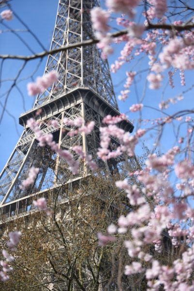 Flowers and Sunshine with Springtime in Paris: A Photo Essay by Krystal ...