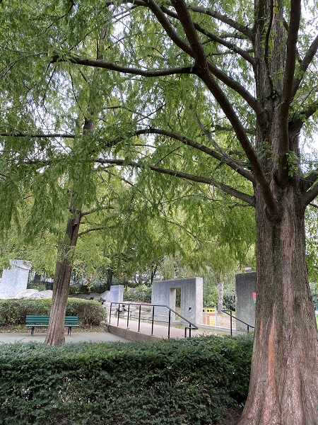 Arbres Remarquables: Where to Find the Great Trees of Paris | Bonjour Paris