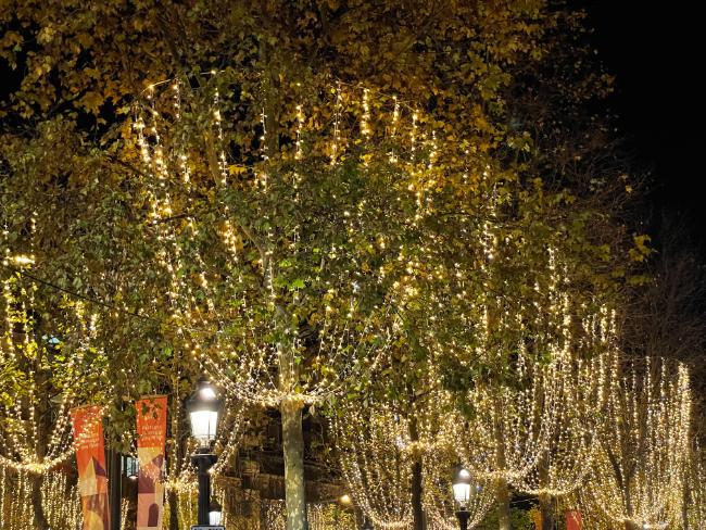 Parisian Magic: Holiday Lights Through My Lens | Bonjour Paris