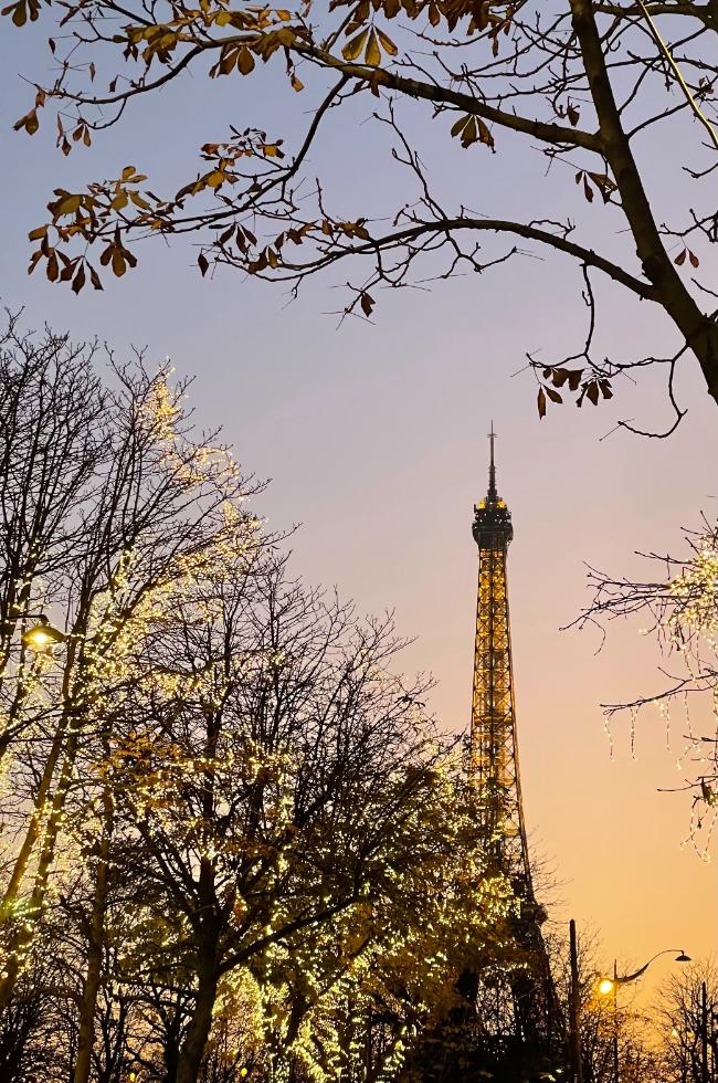 Parisian Magic: Holiday Lights Through My Lens | Bonjour Paris