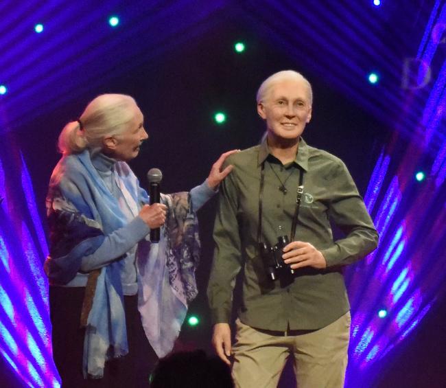 Dual Inspiration: Jane Goodall’s Parisian Journey | Bonjour Paris