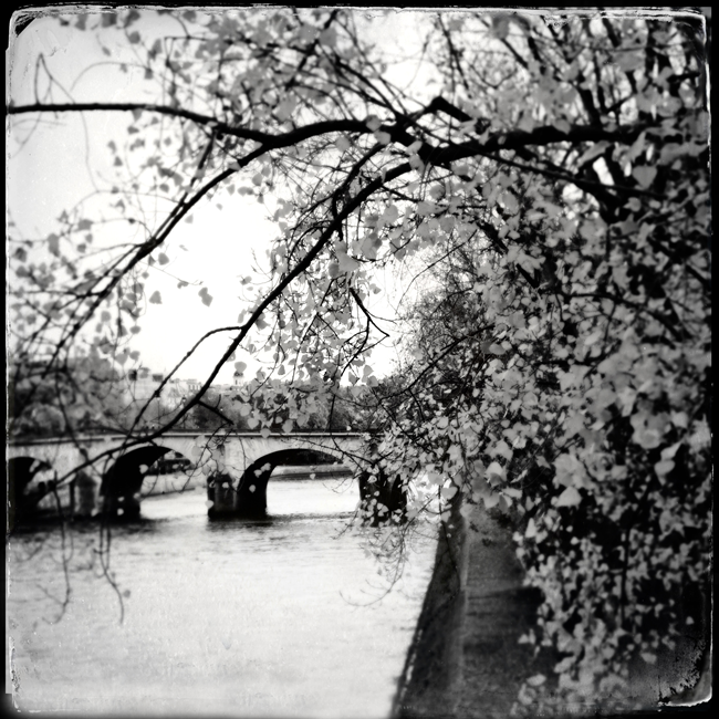 Timeless Paris: A Photographic Journey | Bonjour Paris